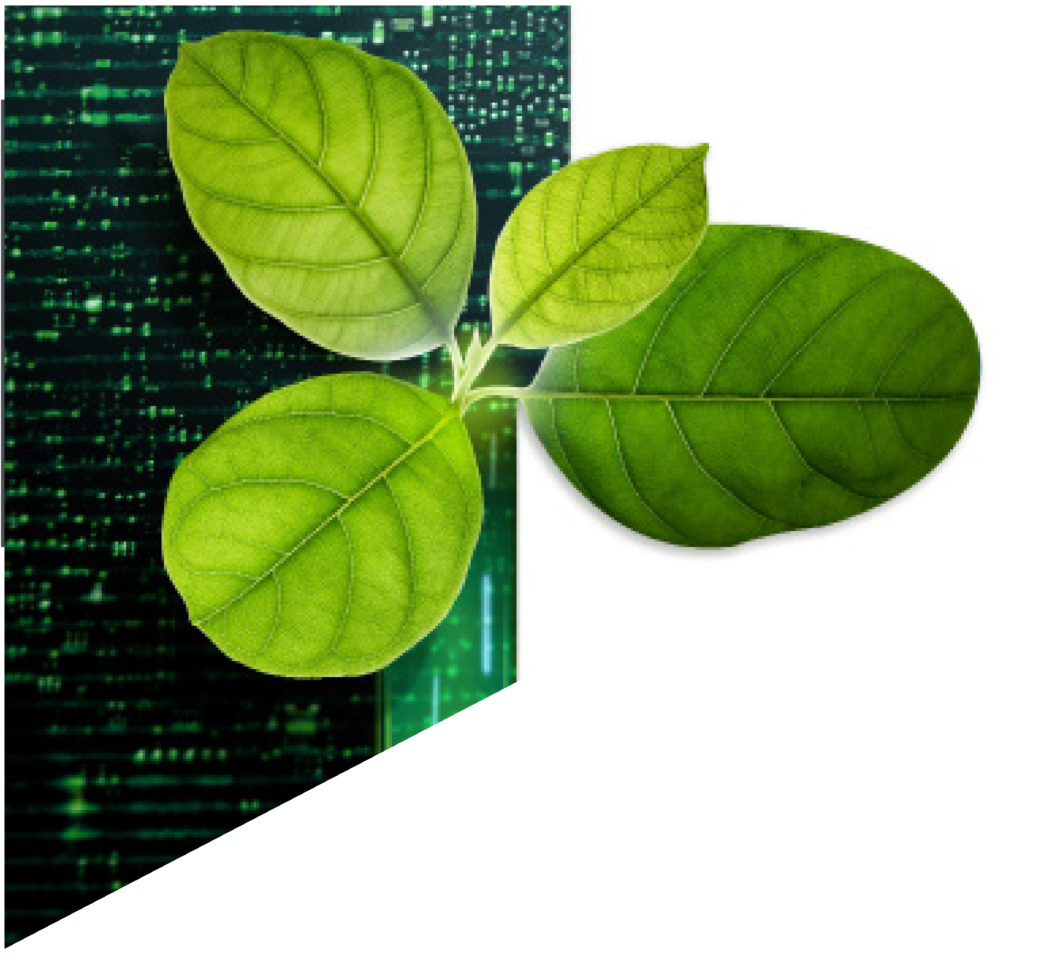 Portal BIVA - Bolsa Institucional de Valores